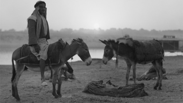 1914_Library-of-Congress-Iraq-men-donkeys-river-sun-628×353 | Dominicana