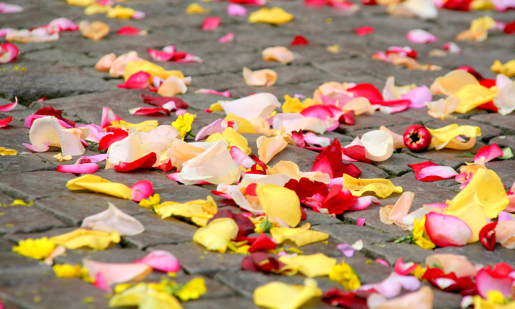 Papleren Geluk – After the Wedding Party-002 | Dominicana