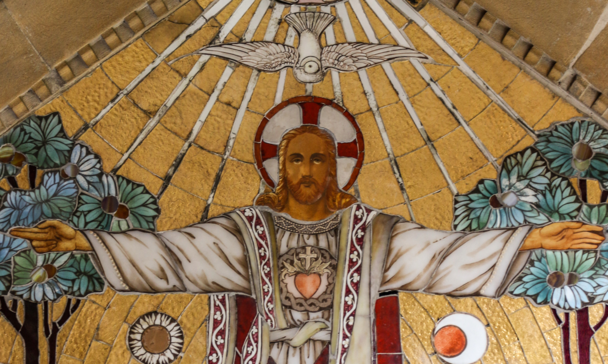 Divine Adoption | Dominicana