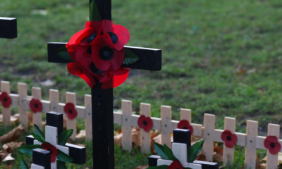 Going Over Jordan | Dominicana